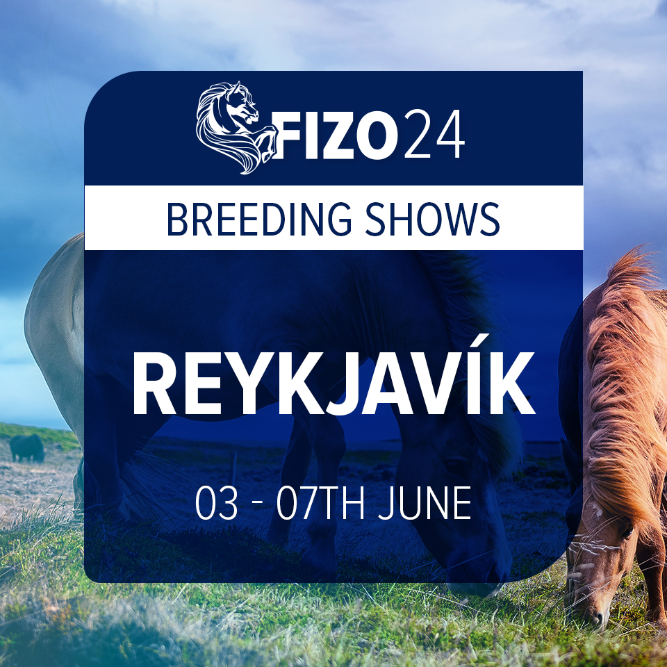 IS2018277787 Hetja frá Hofi I / Helga Una Björnsdóttir – Alendis